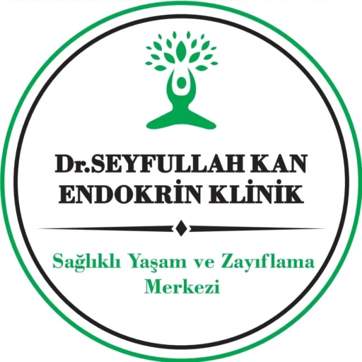 Ana Sayfa - Doç. Dr. Seyfullah KAN